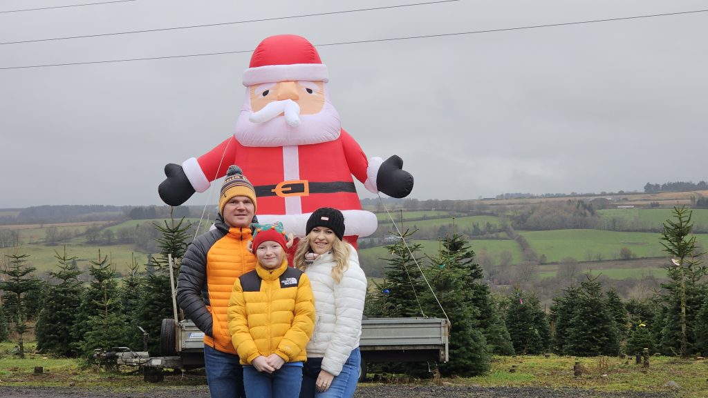 Christmas Trees Perthshire - Where To Buy Locally | Sholach Farm